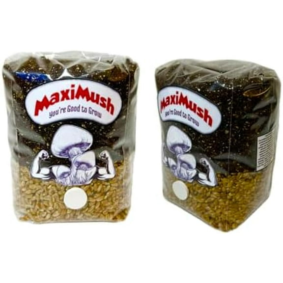 MonoTub Mushroom Growing Kit | Includes 5 Pound Sterile Grain Spawn ...