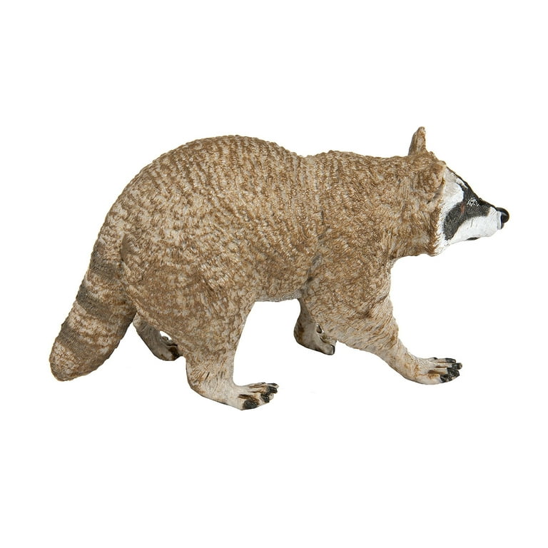 Safari Ltd Raccoon