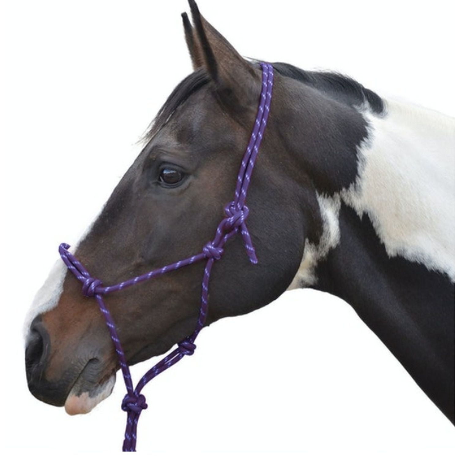 Click here for Hy Rope Halter prices
