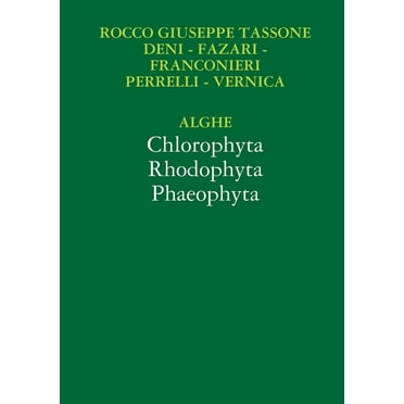 Keras 2.x Projects (Paperback) - Walmart.com