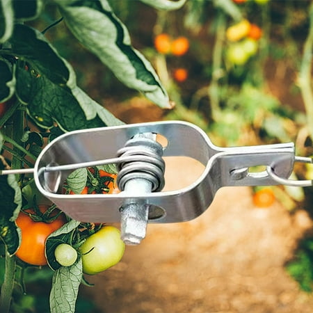 Jioakfa Tendeur de Treillis pour Serre Raisin Arbre Fruitier en Fil d ...