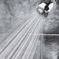 Niagara Conservation Earth Spa 3-Spray with 2 GPM 2.7-in. Wall Mount ...