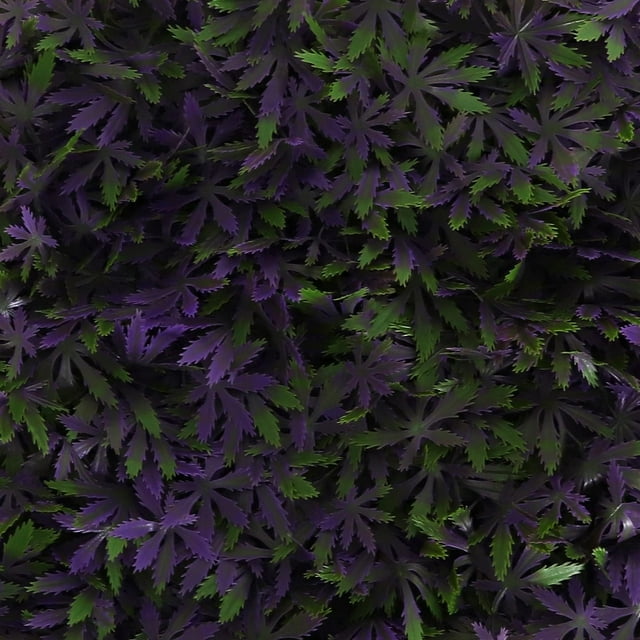 Artificial Marijuana Pot Leaf Hedge - Fake Plant - Smoke Shop Decor ...