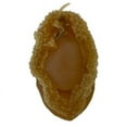 Supreme Dalian Dried Abalone Large Size (8oz. Gift Box) - Walmart.com
