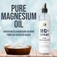 Mars Wellness MG+ Pure Magnesium Oil Spray - 8 Ounce High Quality ...