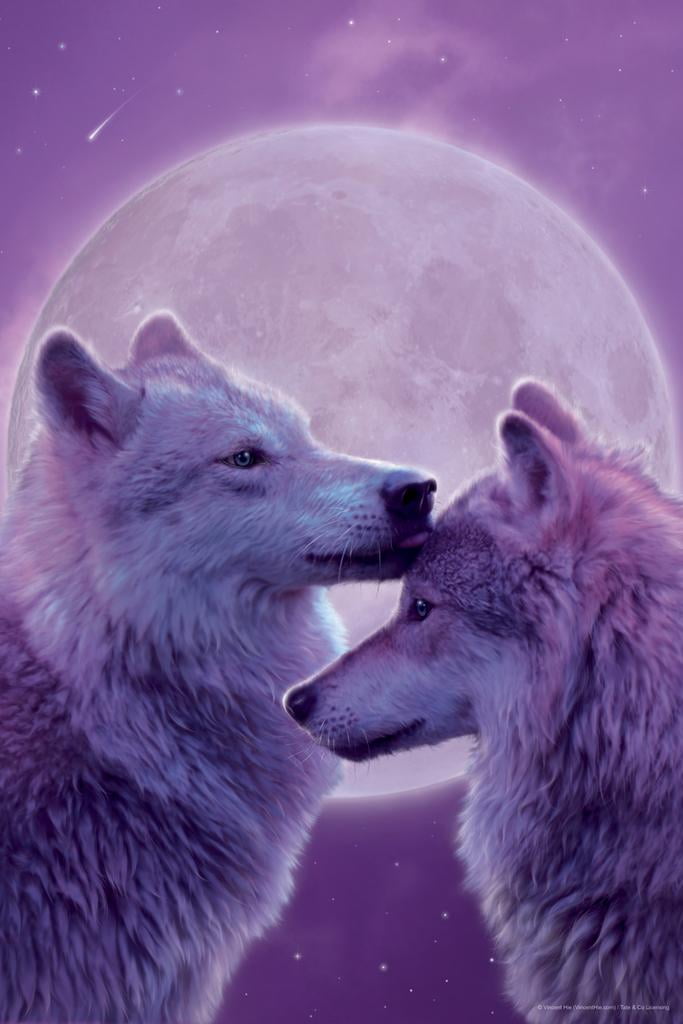 Loving Wolves by Vincent Hie Nature Wolf Posters For Walls Posters ...