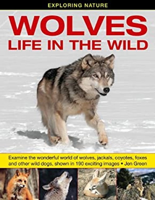 Pre-Owned Exploring Nature : Examine the Wonderful World of Wolves ...