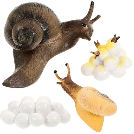 1 Set of Fake Snail Growth Models Simulation Snail Growth Cycle Models ...