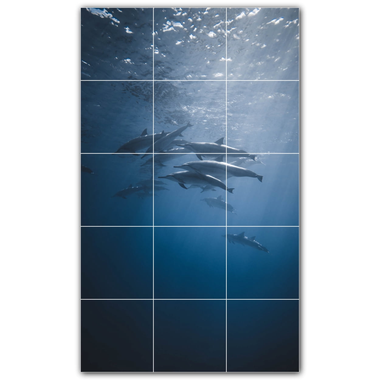 Picture-Tiles.com: Dolphin Ceramic Tile Wall Mural WAL500514-35XL. 36"W ...