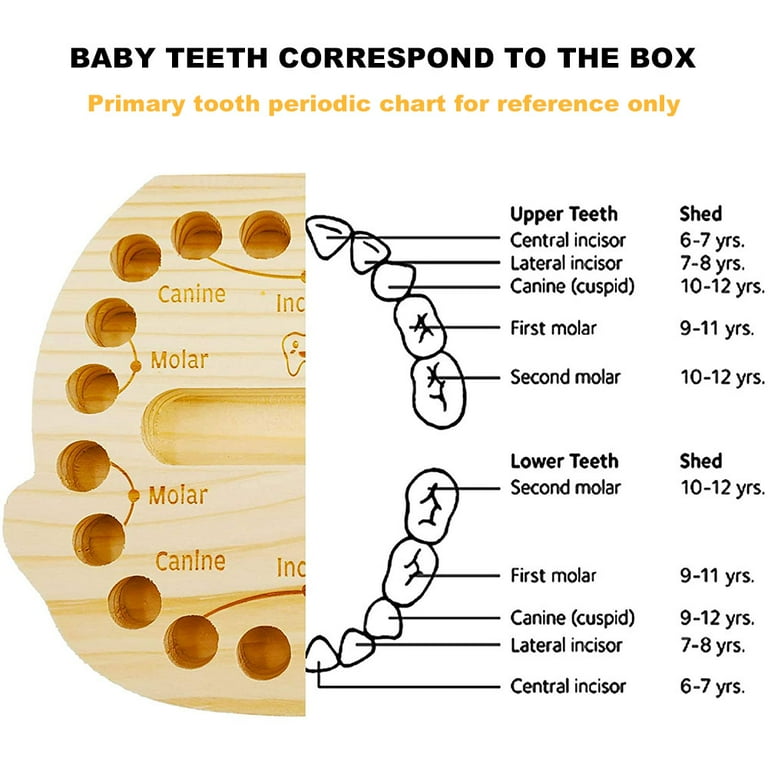 Teeth Letter Chart