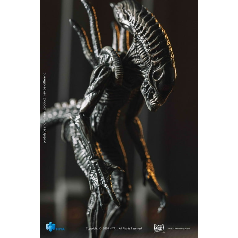 Queen Alien Avp Requiem (MV) AVP Alien Vs Predator Alien Queen