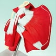 Muscled Shoulder Joint Model - Shows Complete Shoulder Musculature From ...