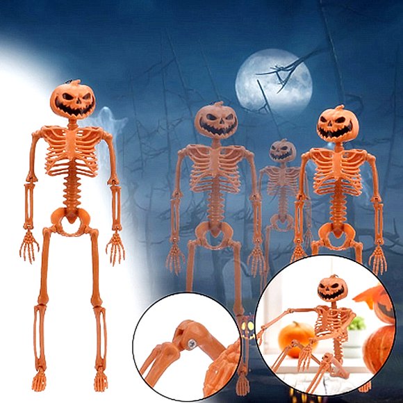 Posable Skeleton
