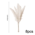 CuiLiyq 8 Pieces Dried Pampas Grass Reed Stems without Vase, Artificial ...