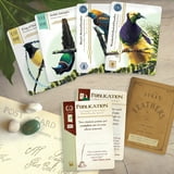 Renegade Games: Birdwatcher - Competitive Card Game, Beautifully ...