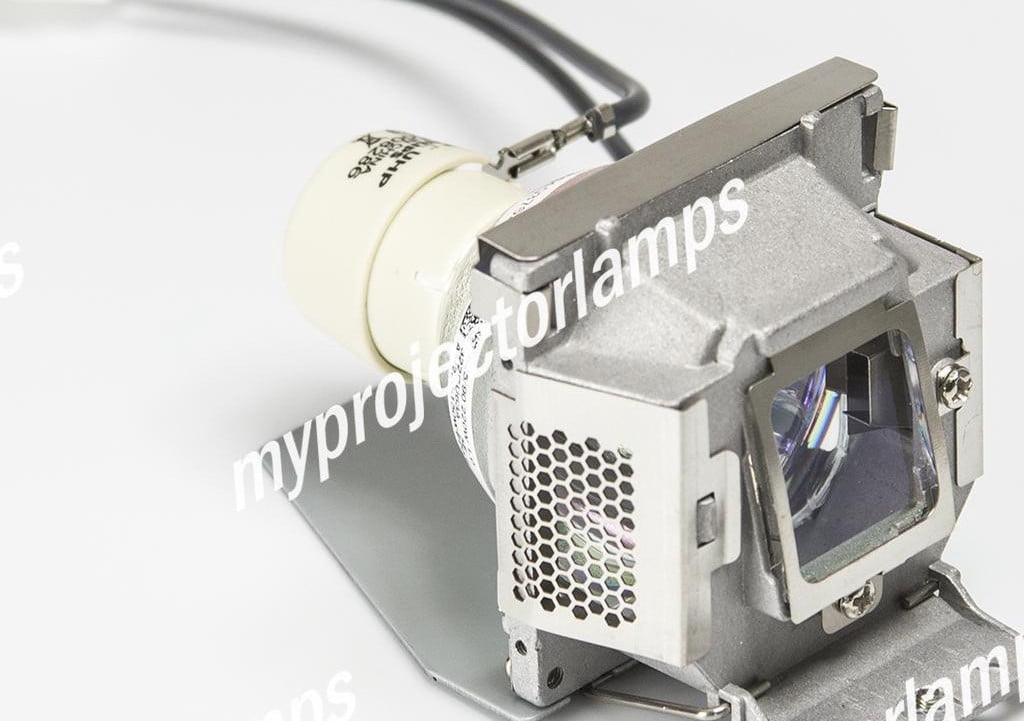 Acer EC.J9000.001 Projector Lamp with Module - Walmart.com