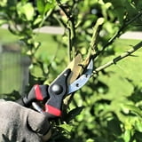 "Mr. Pen- 8"" Professional Pruning Shears, Sharp Garden Scissors, Ideal ...
