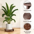 3-Pack Plant Stand Indoor, Wood Round Pedestal Riser 6.69/8.66/10.23 ...