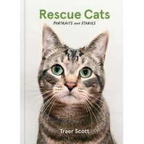 Kitty Sweet Tooth Kitty Sweet Tooth Makes a Movie, (Hardcover ...