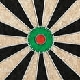 Narwhal Kingston Bristle Dartboard - Walmart.com