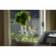 LaBrinx Designs Suction Cup Shelf - Live Plants, Windows, and Bathrooms ...