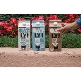 Oatly The Original Oat Milk, Half Gallon, 64 fl oz - Walmart.com