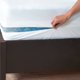 Remedy Bed Bug Dust Mite Box Spring Protector - Walmart.com