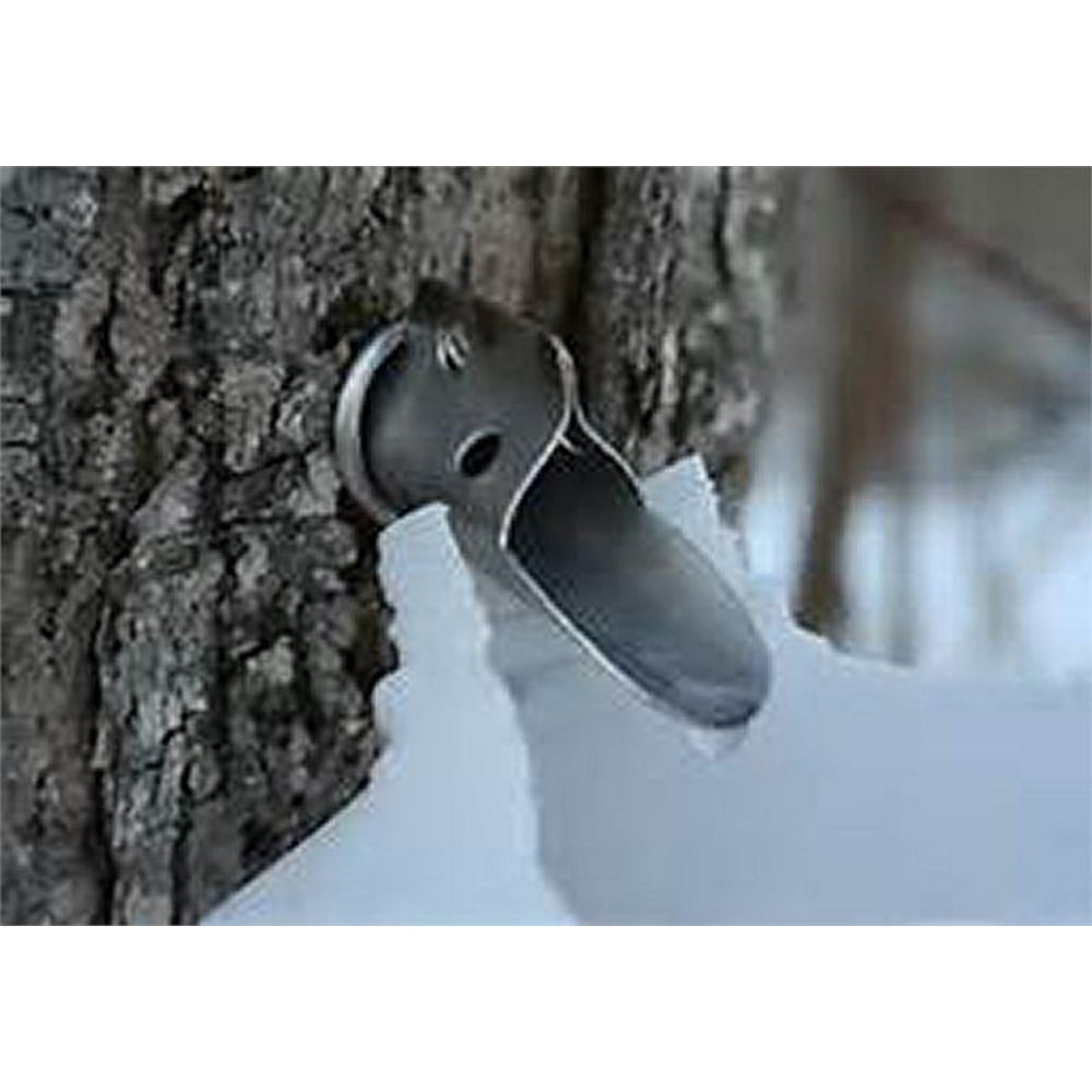 Tap My Trees Individual Spile, bulk, #224 - Walmart.com - Walmart.com
