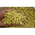 Peruano Beans | Peruvian Beans | Bulk 25 lbs - Walmart.com