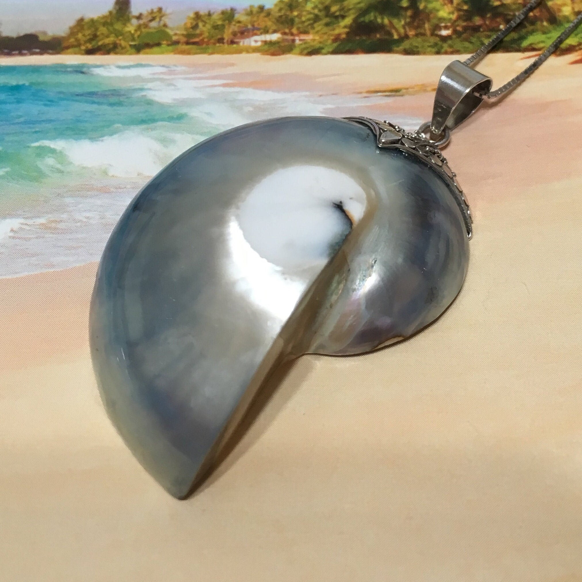 Gorgeous Genuine X-Large Nautilus Shell Necklace, Sterling Silver ...