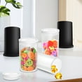 eTone Clear Film Canisters with Caps, 35 Pack, 35mm Plastic Storage ...