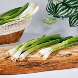 Marketside Fresh Green Onions Bunch for Cooking and Garnishing ...