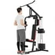 Costway Multifunction Cross Trainer Workout Machine Strength Training ...
