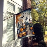 Day of the Dead Spooky Halloween House Flag 28 in x 40 in - Walmart.com
