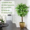 5ft Artificial Ficus Tree with Natural Curved Trunks 60 Inch Tall Lush ...