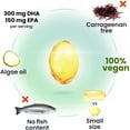 Dr. Moritz Vegan Omega 3 DHA & EPA Supplement 1000mg Algae Omega-3 for ...