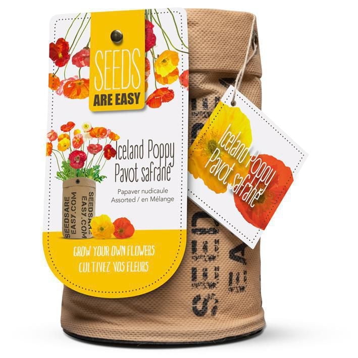 Click here for Seeds Are Easy - Iceland Poppy prices