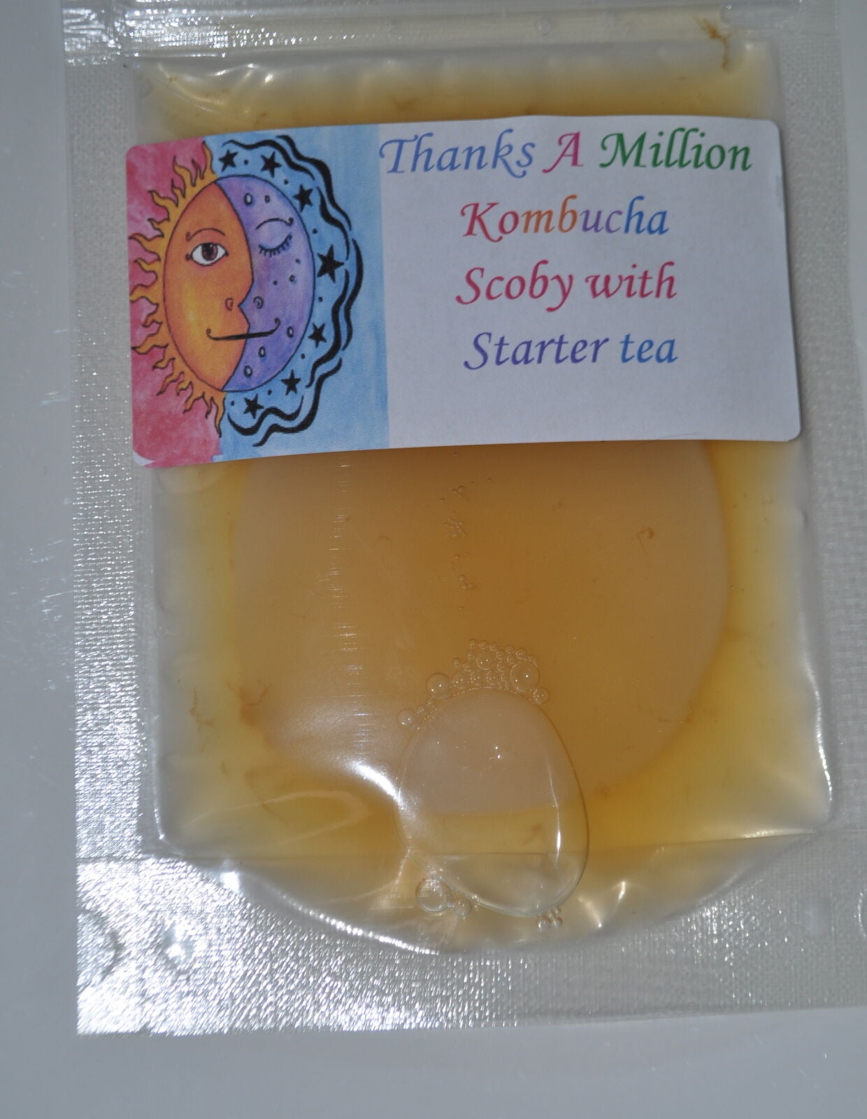 KOMBUCHA SCOBY 4" + 1 CUP of starter tea Makes 1 Gallon Batch - Walmart.com