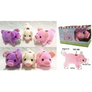 Miniso Pig