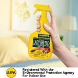 Harris Pest Control Lady Beetle & Boxelder Bug Killer Spray, 32 fl oz ...