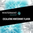 5 Gum Wintermint Ascent Sugar Free Chewing Gum, 15 Stick Single Pack ...