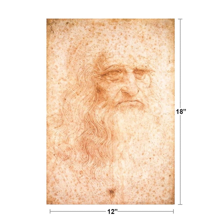 Leonardo Da Vinci Self Portrait Drawing