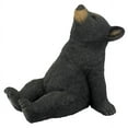 Design Toscano Catching Rays Bear Cub Statue - Walmart.com