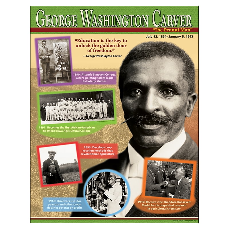 GEORGE WASHINGTON CARVER CHARTS - Walmart.com