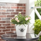 Mainstays Round Ceramic Bumblebee Planter, 5.9 inches diameter, White ...