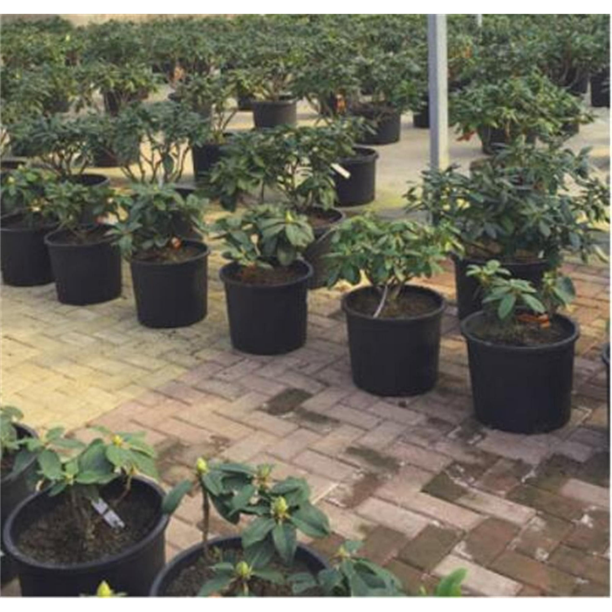 Click here for Xipyykm 3 Gallon Nursery Pot Plastic For Outdoor I... prices