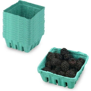 MT Products Green Vented Produce Berry Basket 1 Pint Pulp Fiber - Pack ...