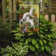 Ermine Stoat Short-tailed Weasel Garden Flag - Walmart.com