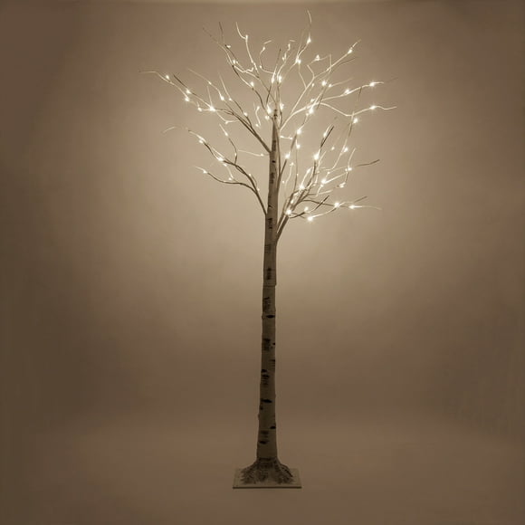 Lighted Birch Tree