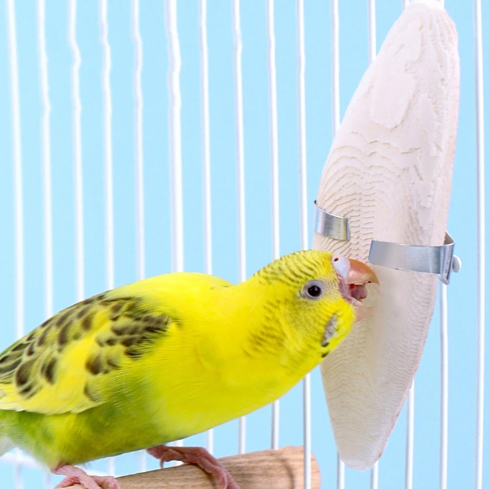 Buy Leking Bird Cuttle Bone Bird Cuttlebone for Parakeets Natural ...